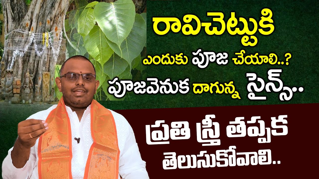రావిచెట్టుకి ఎందుకు పూజ చేయాలి? పూజ వెనుక దాగున్న సైన్స్ ? PHANI ...