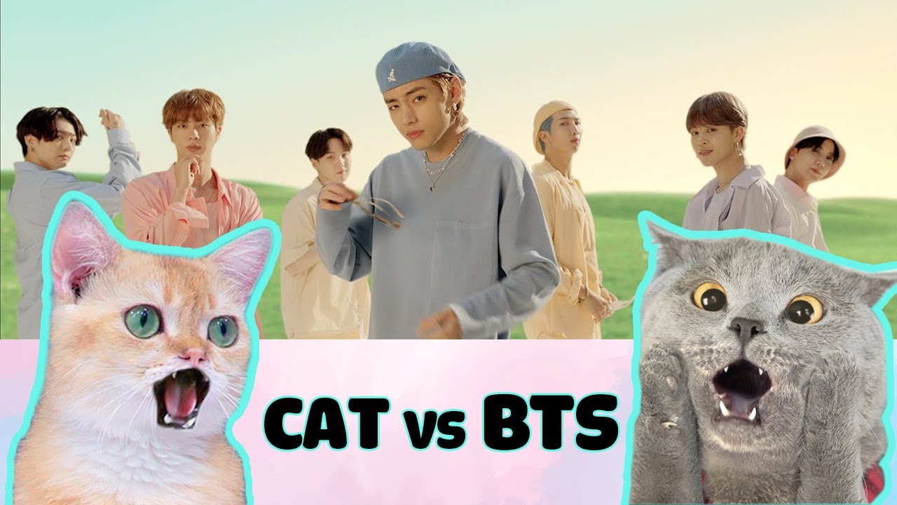 Funny Cats | Cats Vs BTS - 'Dynamite' Reaction: How My Cats Fall In ...