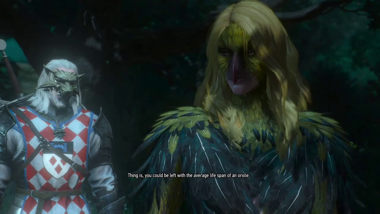 The Witcher 3: Wild Hunt Bird - YouTube