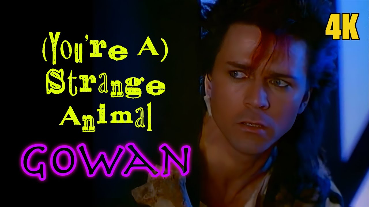 Gowan | (You're A) Strange Animal | 1985 | Music Video 4K - YouTube