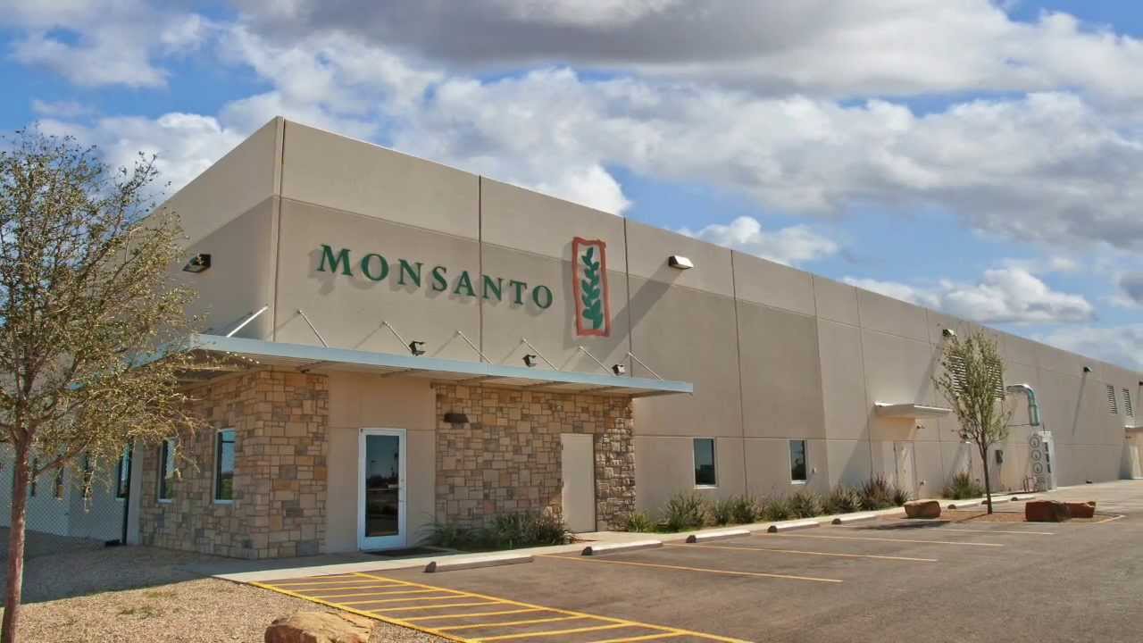 Monsanto Cotton - YouTube
