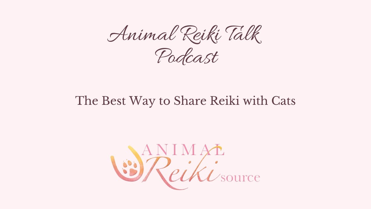 The Best Way to Share Reiki with Cats | Animal Reiki Talk - YouTube