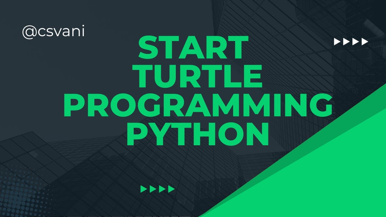 Start Turtle Programming In Python Beginners School Pythonprogramming Code In 3834