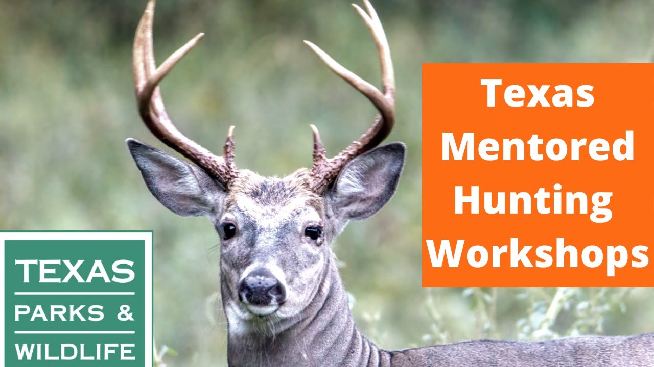 TPWD Mentored Hunting Workshops - YouTube