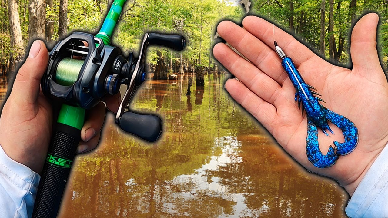 TEXAS RIG FISHING GIANT CYPRESS TREES!! (RIVER FISHIING) - YouTube