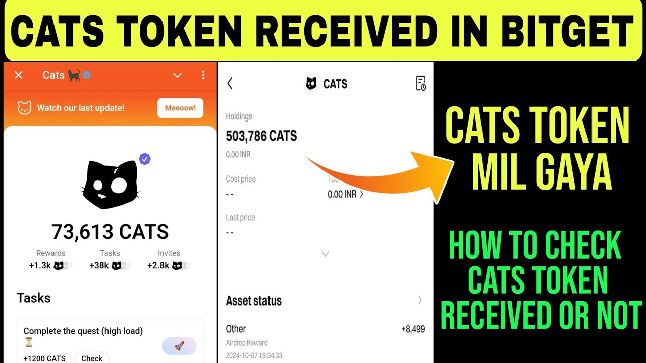 How To Check Cats Token In Bitget Exchange & Wallet | How To Check Cats ...