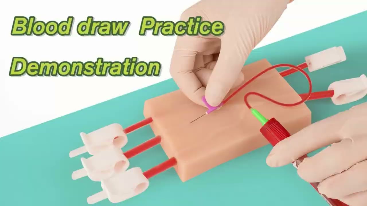 High Simulation Insertion/IV Injection Training Pad for NP/PA/RN ...