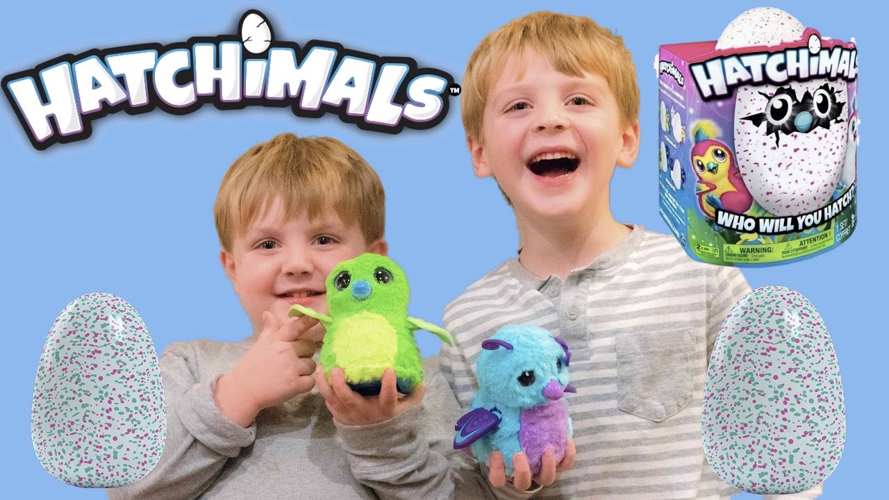 Hatchimals Toy Surprise Eggs Unboxing and Hatching Magical Hatching Toy ...