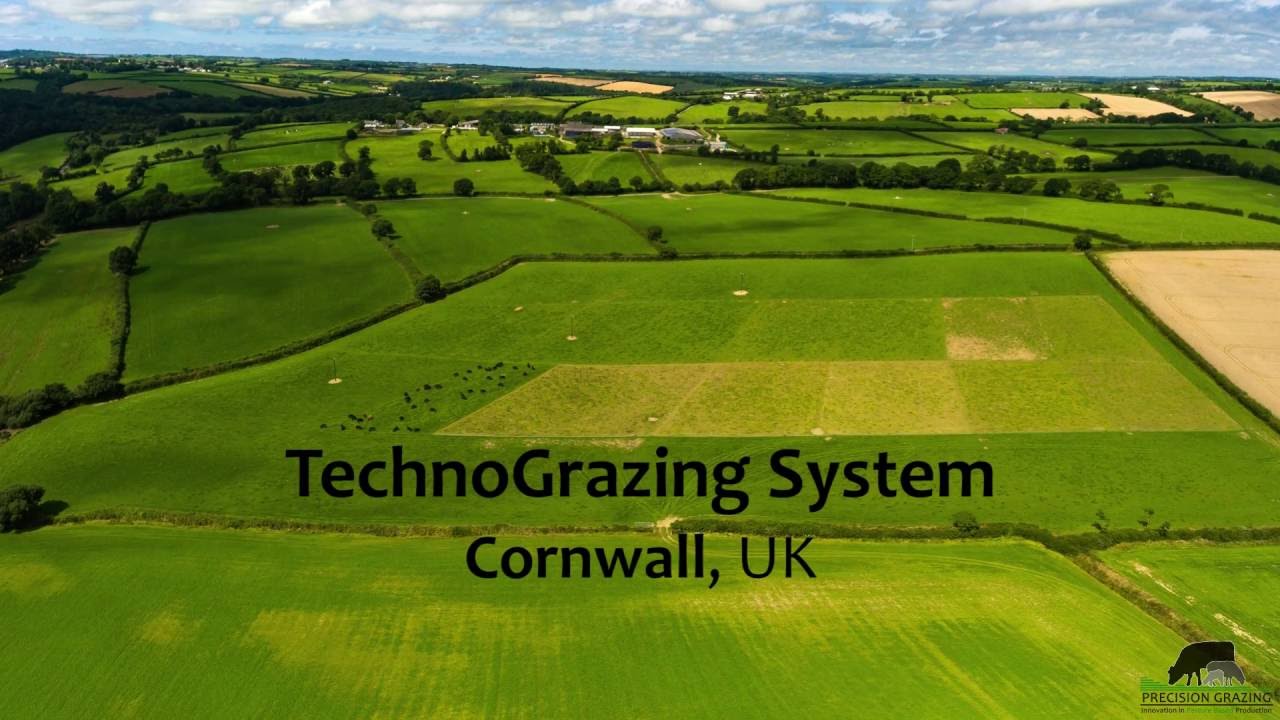 Precision Grazing Ltd - Cattle TechnoGrazing System 1 - YouTube