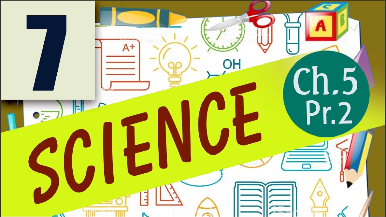 Class 7 Political Science chapter 5 Women Change The World part 2 13 class-7-political-science-chapter-5-women-change-the-world-part-2-13