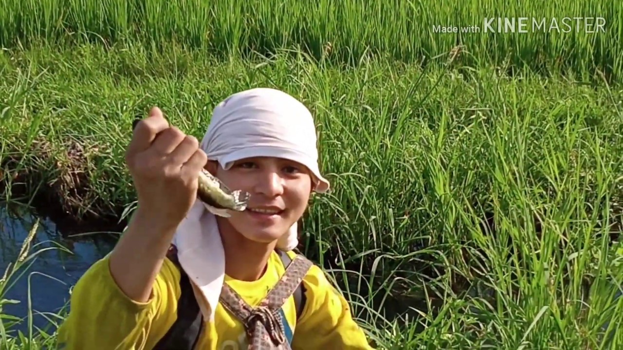 How to Catching Fish using your Hand.,Hardworking - YouTube