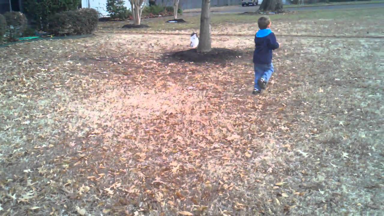 Late 2010 & Early 2011 - YouTube