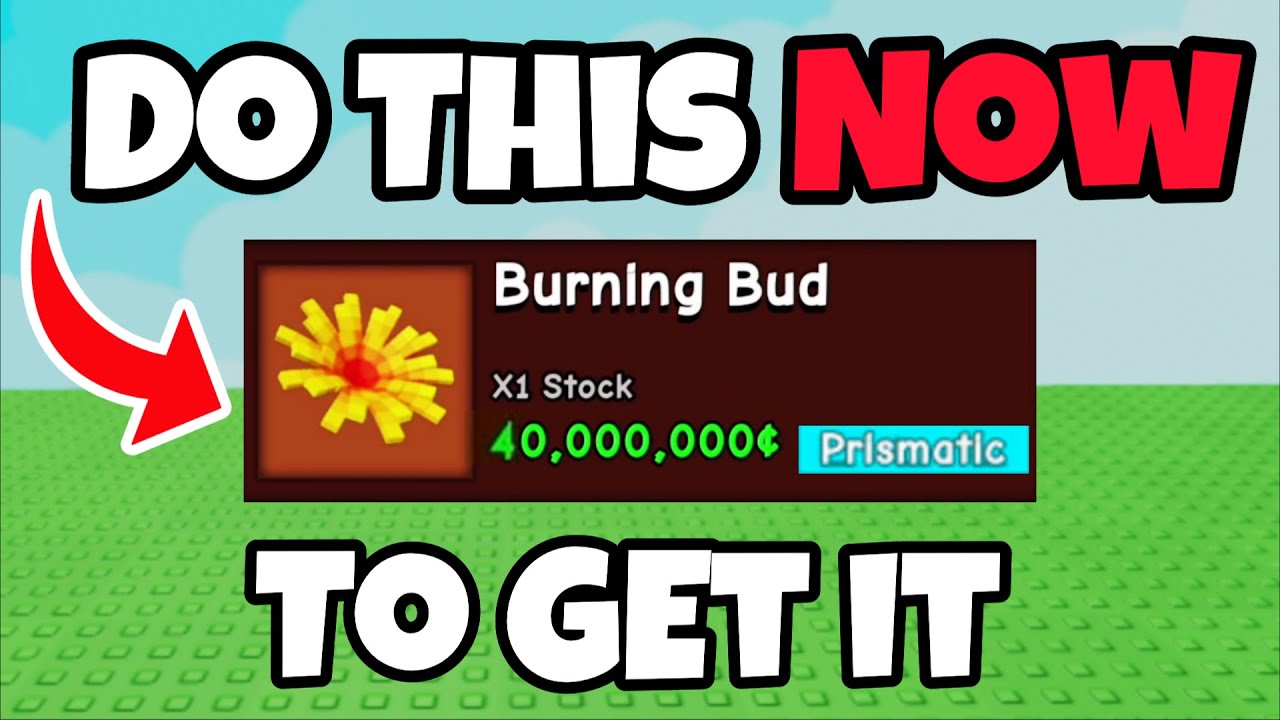 DO THIS NOW TO GET THE NEW BURNING BUD SEED 🔥🍅 | Grow a garden - YouTube