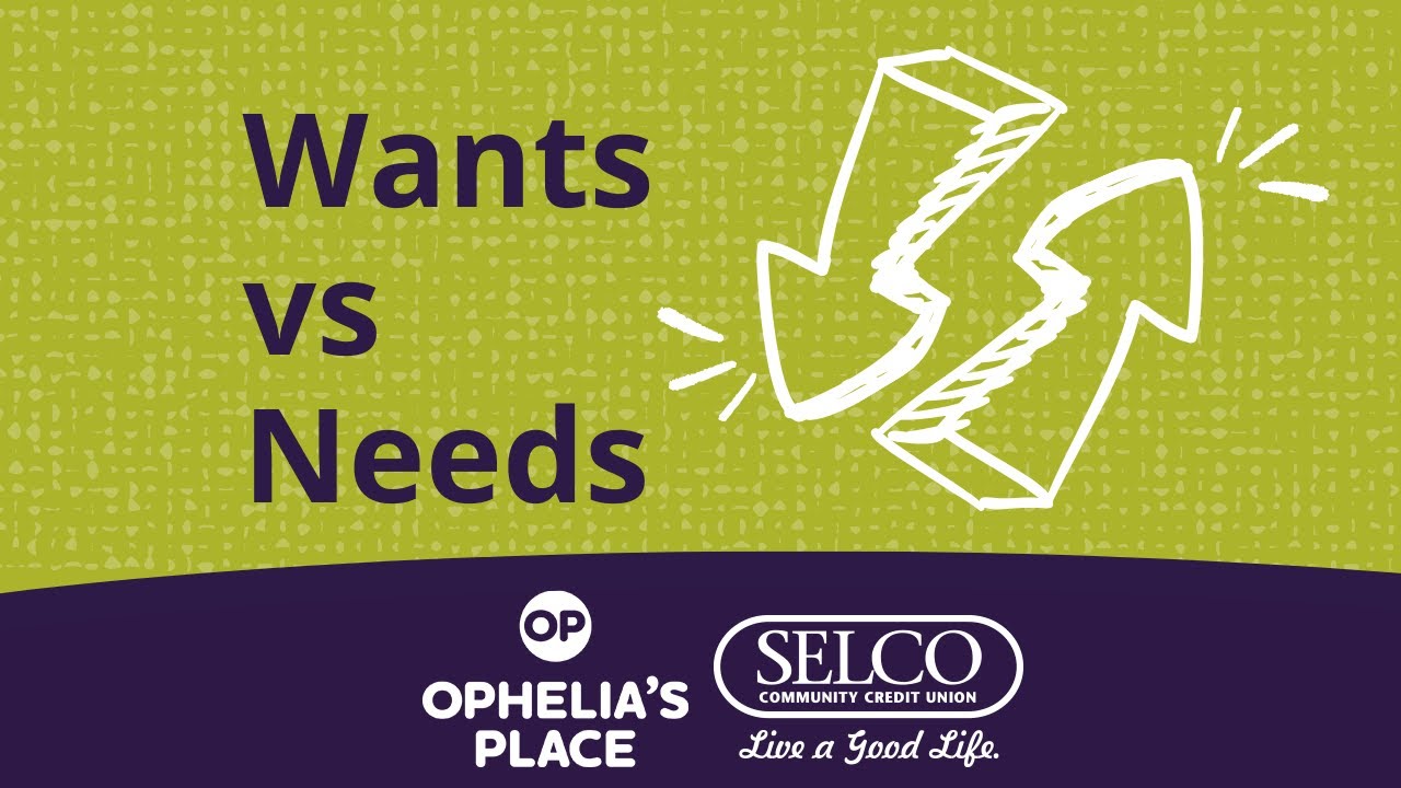 Wants vs Needs with SELCO - YouTube