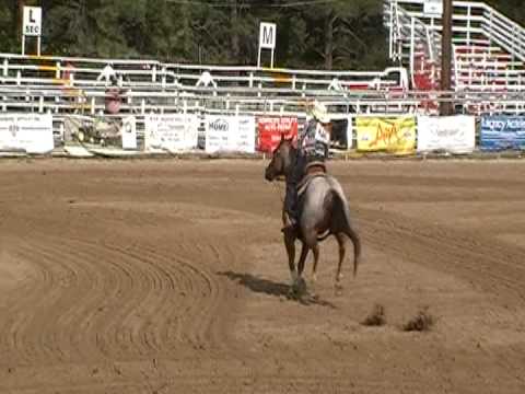 Elizabeth, CO Prca Rodeo - YouTube