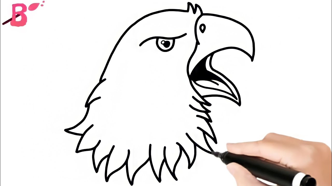 How to Draw an Eagle Step by Step Easy - Cómo dibujar un Águila - YouTube