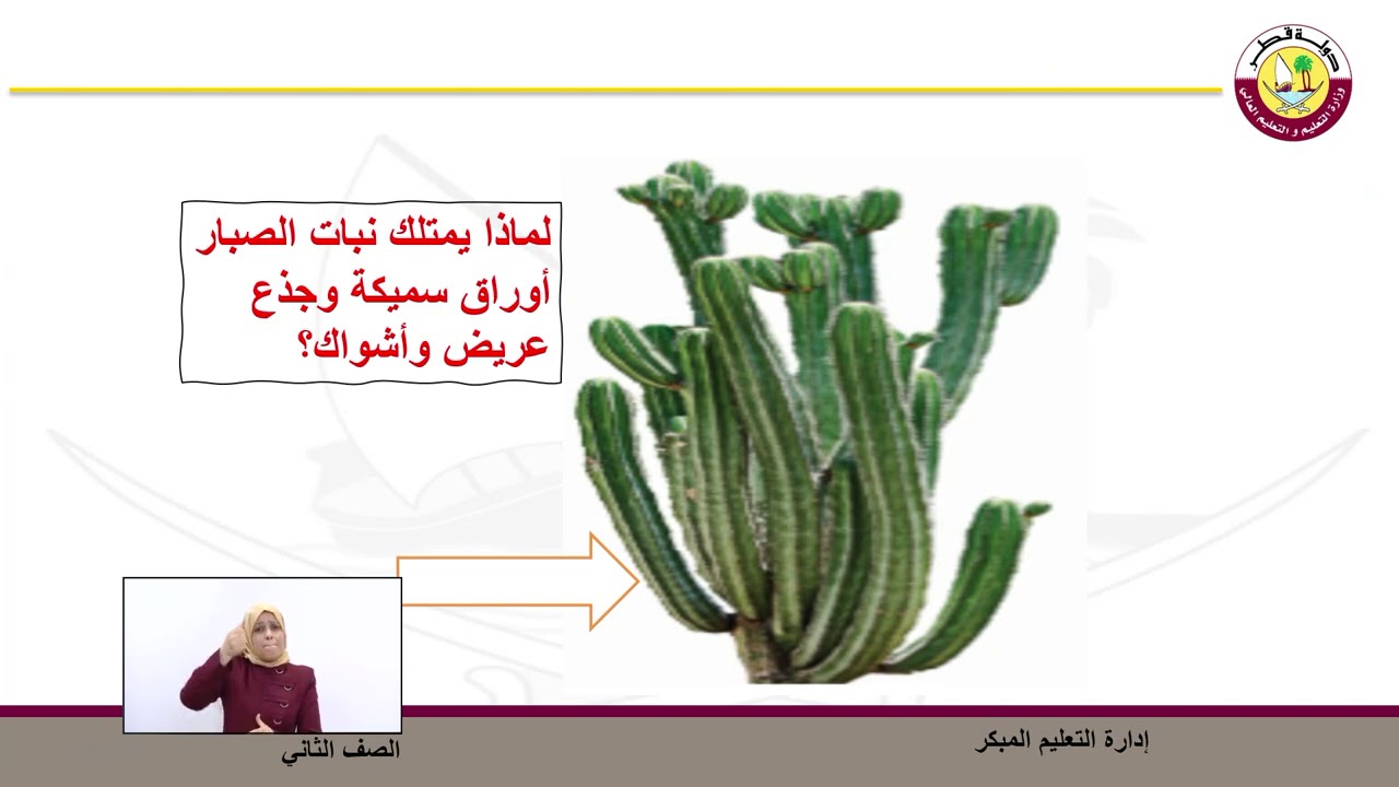 الصف الثاني العلوم 1 3 أين تعيش النباتات؟ Youtube