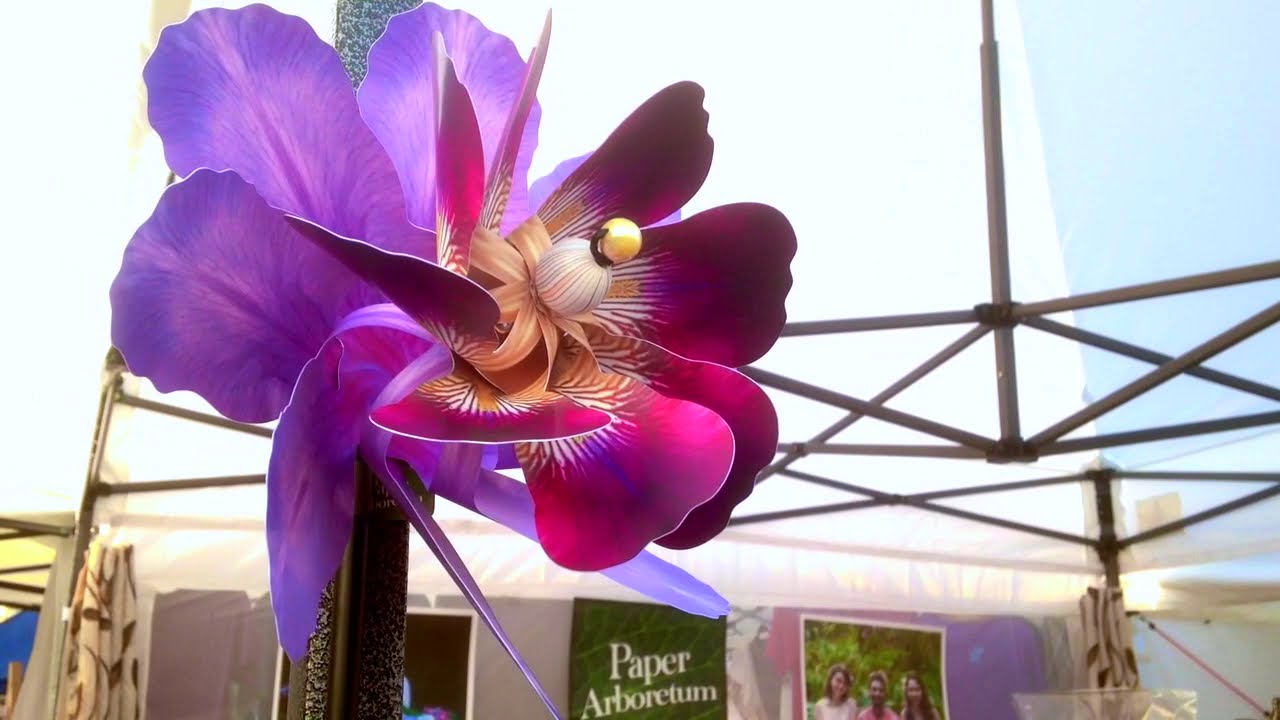 Paper Arboretum Pinwheel Mood - YouTube