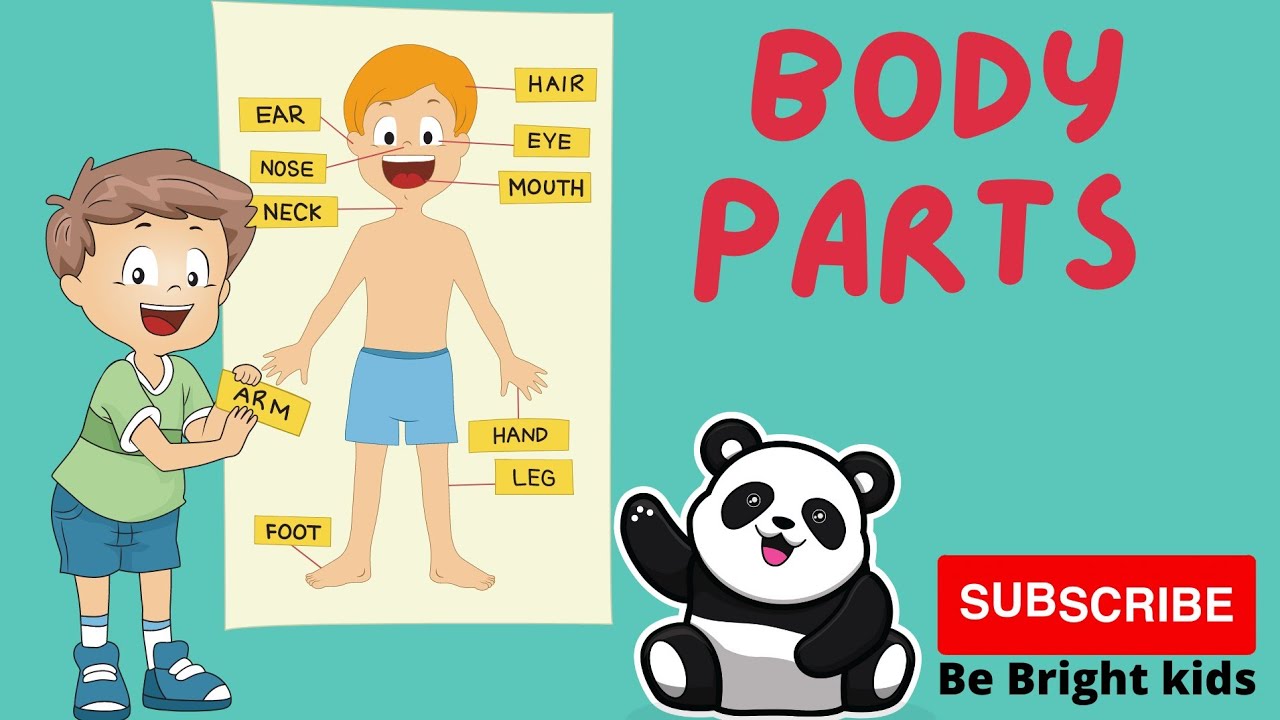 How To Learn Body Parts In English How To Teach Kids Body Parts be how-to-learn-body-parts-in-english-how-to-teach-kids-body-parts-be