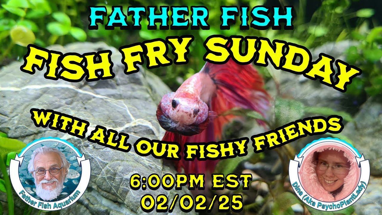 SUNDAY FISH FRY with Father Fish and Dina - YouTube