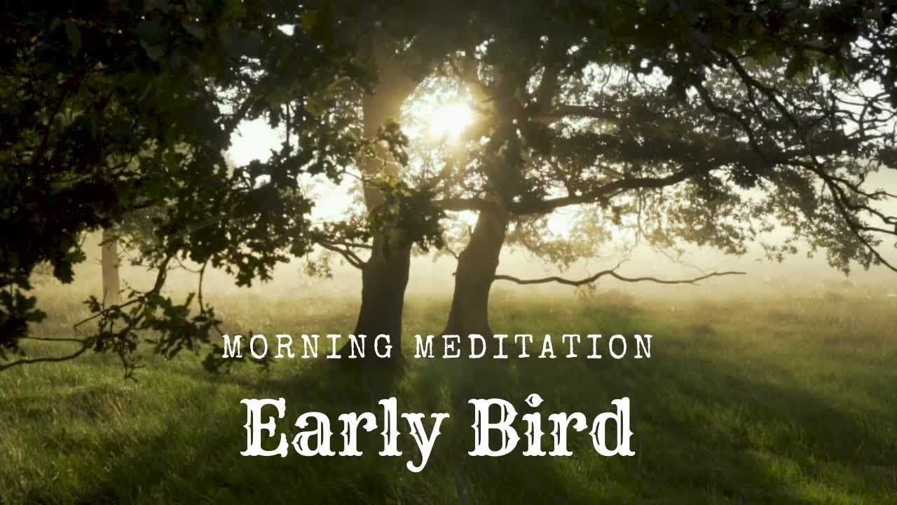 Peaceful Early Bird Healing Meditation Nature Sounds and Vibrations ...