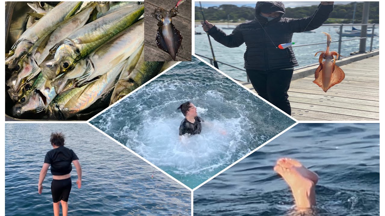 How beautiful Flinders jetty??//Casting for Squid & Mackerel and enjoy ...