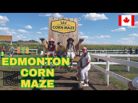 EDMONTON CORN MAZE