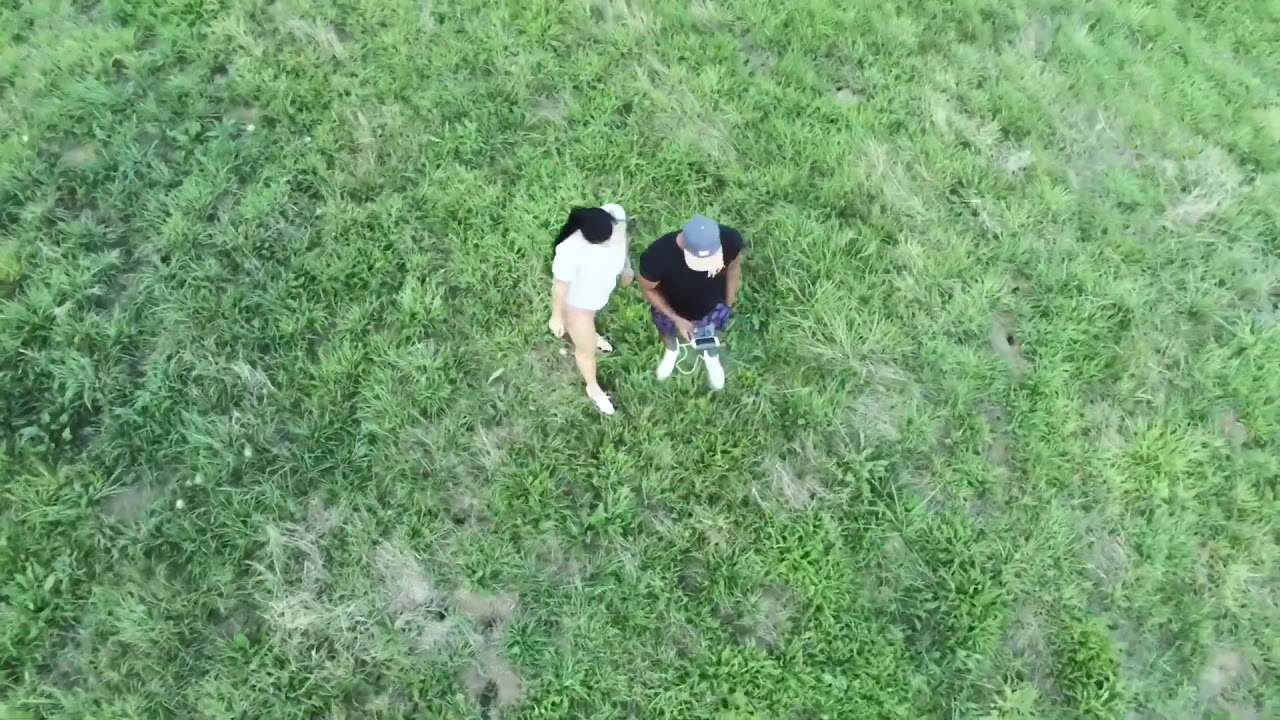 Parrot 360 - YouTube
