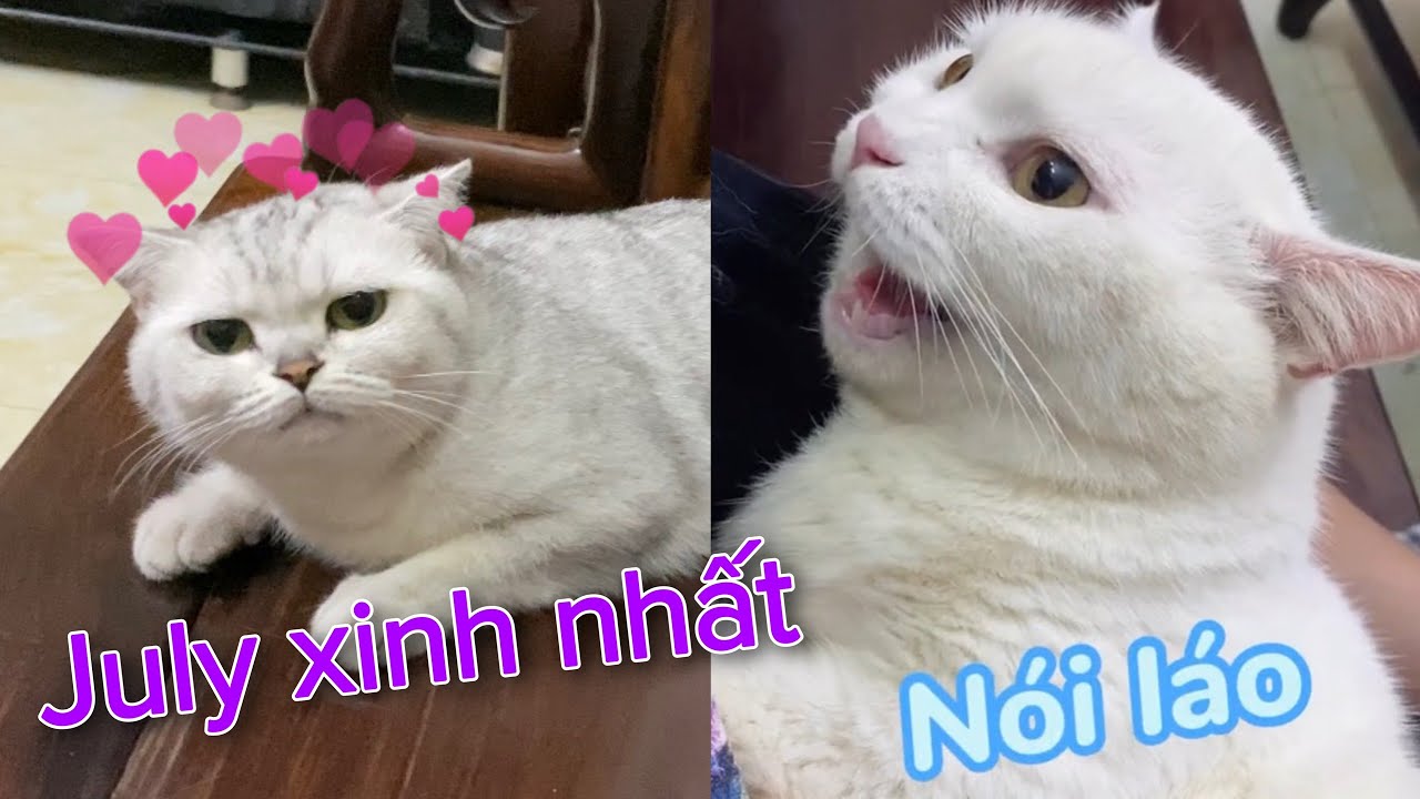 Sự thật về mối quan hệ giữa July và May - YouTube