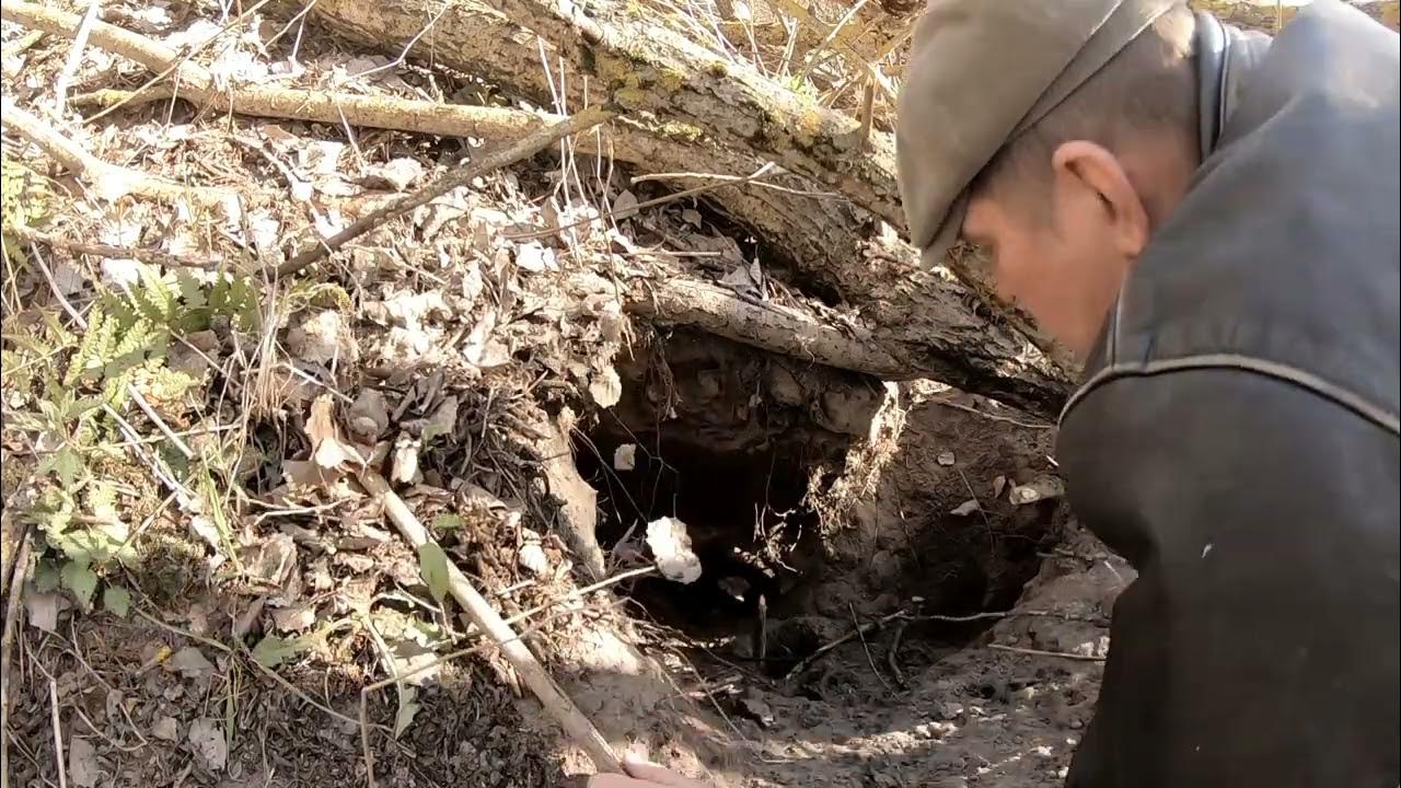 Охотник на лис - YouTube