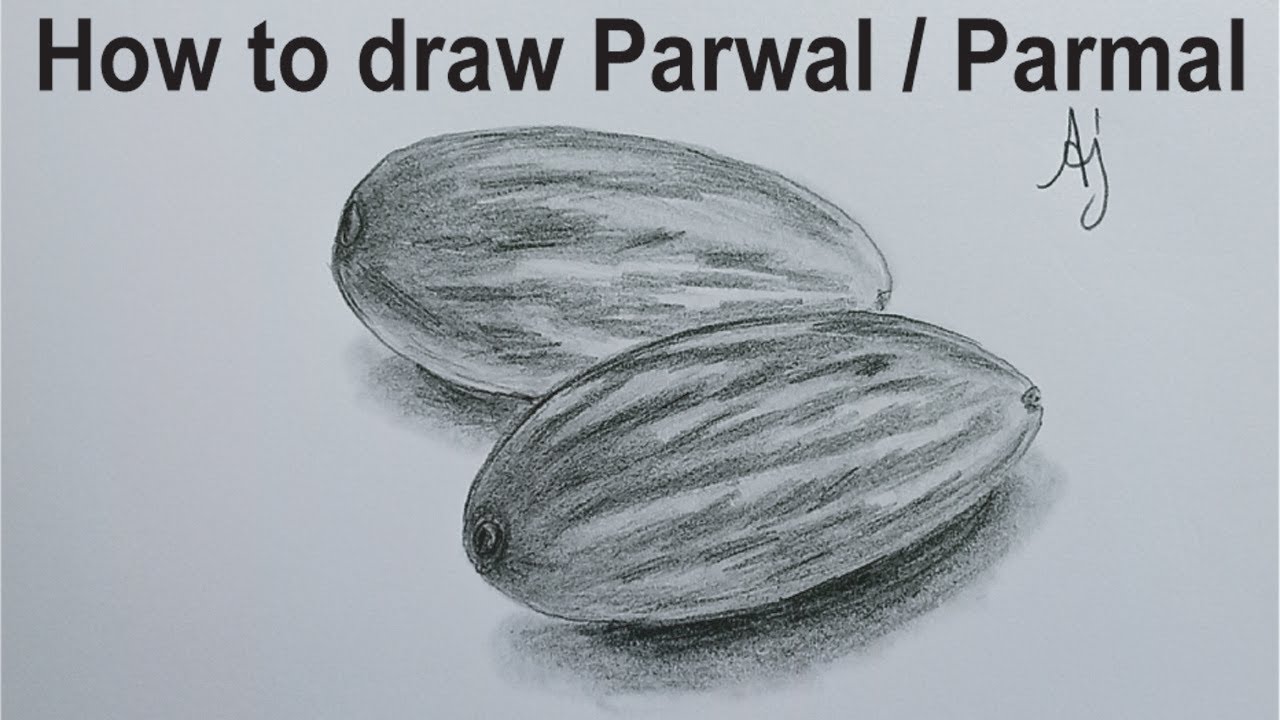 how to draw parwal | how to draw parmal easy step | how to draw potal ...