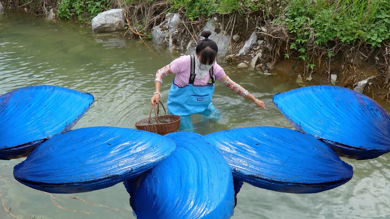 The Secret Riches of the Mutant Clam: A Teenage Girl's Journey to ...