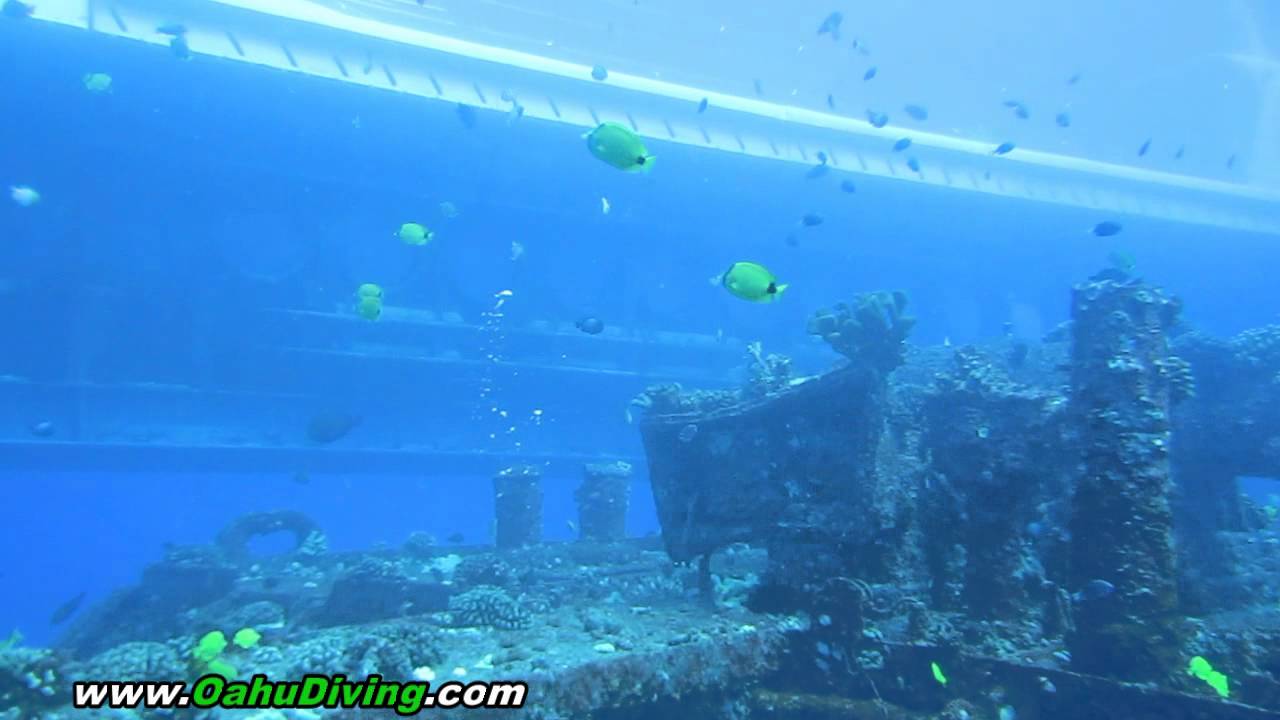 Atlantis Submarine- Wreck Scuba Diving Oahu- Captain Parke - YouTube