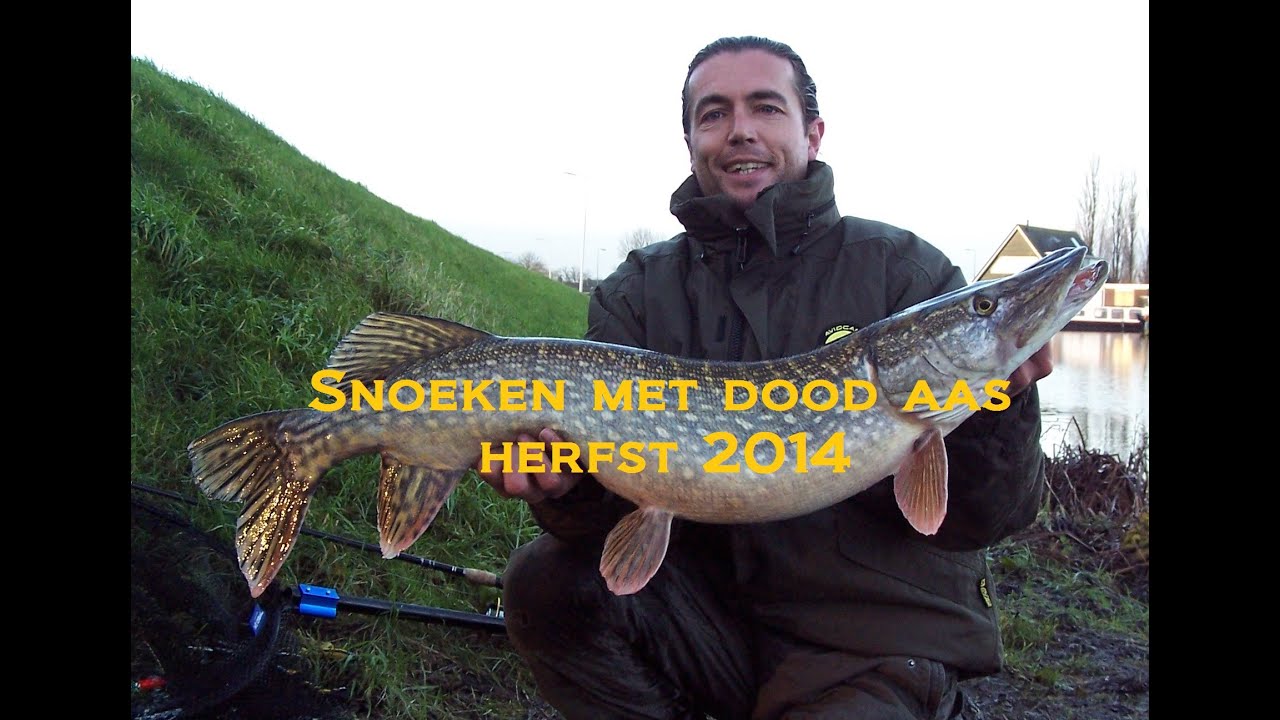 Snoekvissen met dood aas in de herfst 2014 ook nachtvissen 🟠- Pike ...