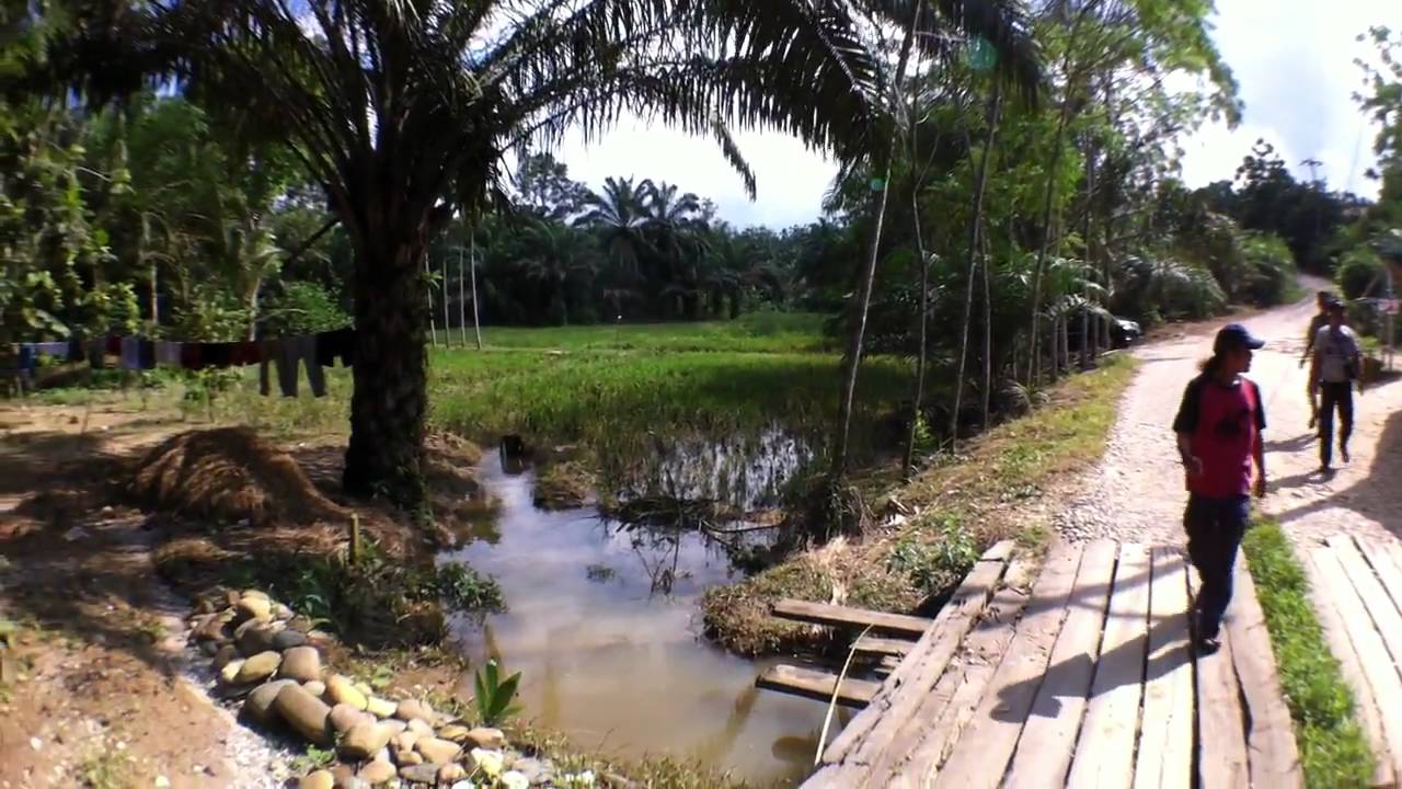 Homestay Besitang 3 - YouTube