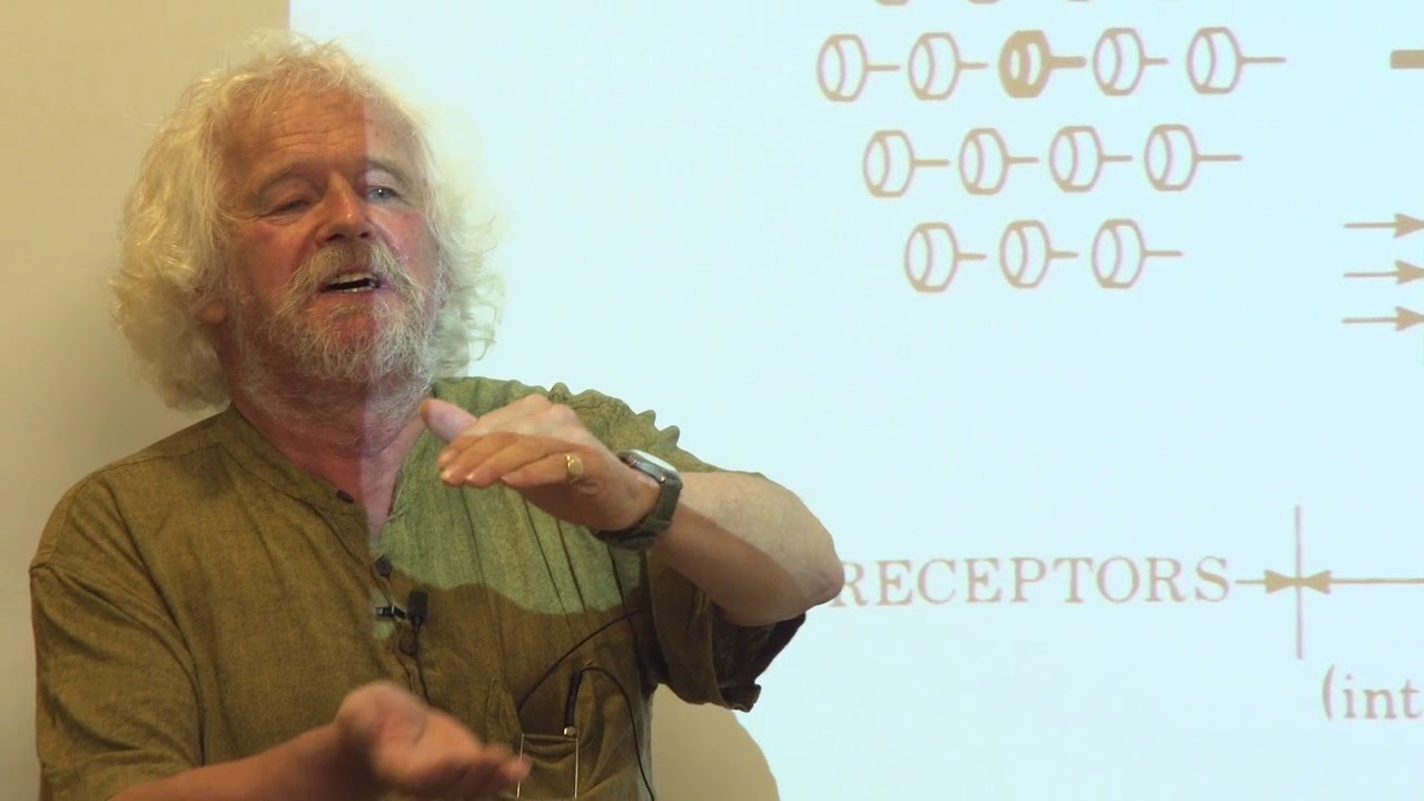 Dr. Simon Laughlin - Constraints on information processing - CCCN 2017 ...