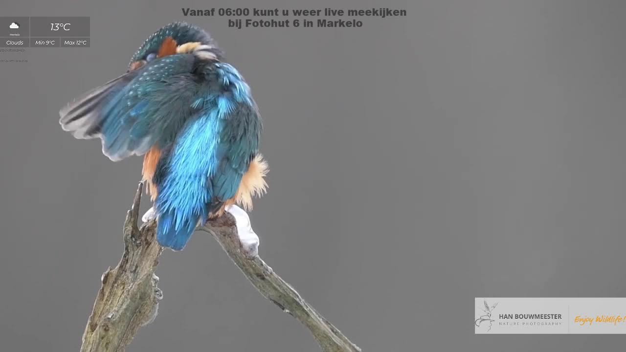 Han Bouwmeester Natuur Fotografie: Fotohut 6 Markelo - YouTube
