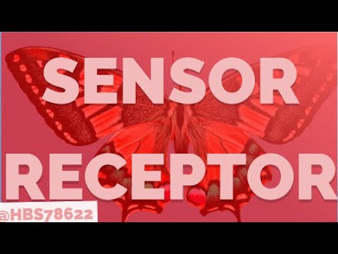 Lec #9: Sensor Receptor - YouTube
