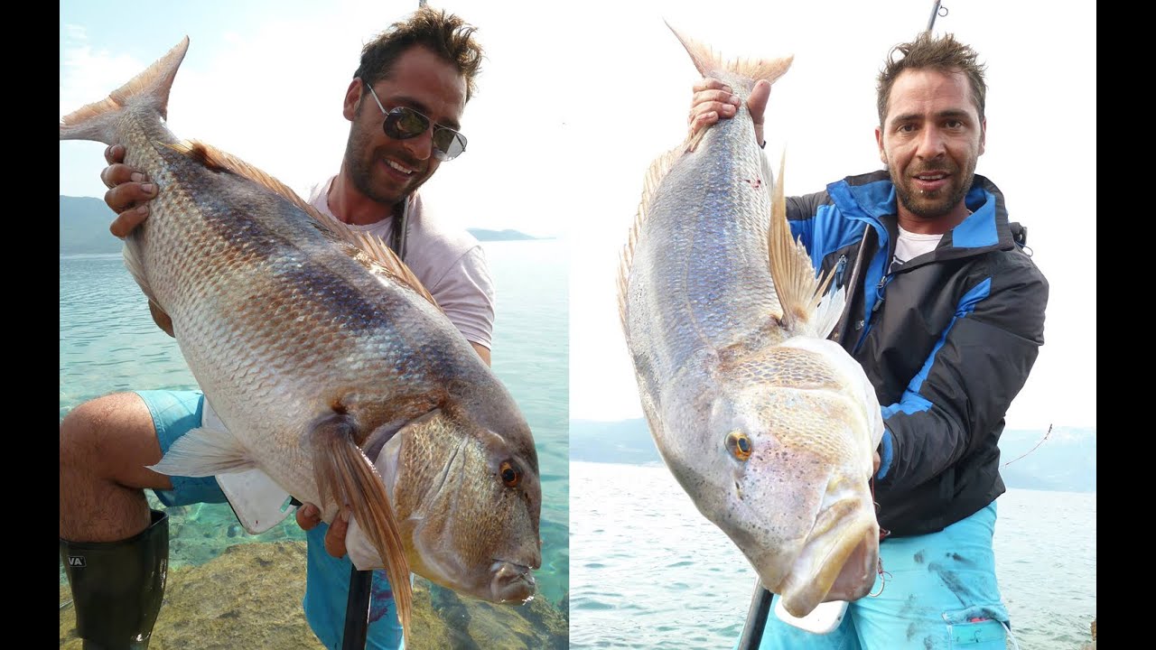 ROCK FISHING FOR MONSTER SNAPPERS!!!ΜΕΓΑΛΕΣ ΣΥΝΑΓΡΙΔΕΣ 7+8 kg!!! ZAVRAS ...