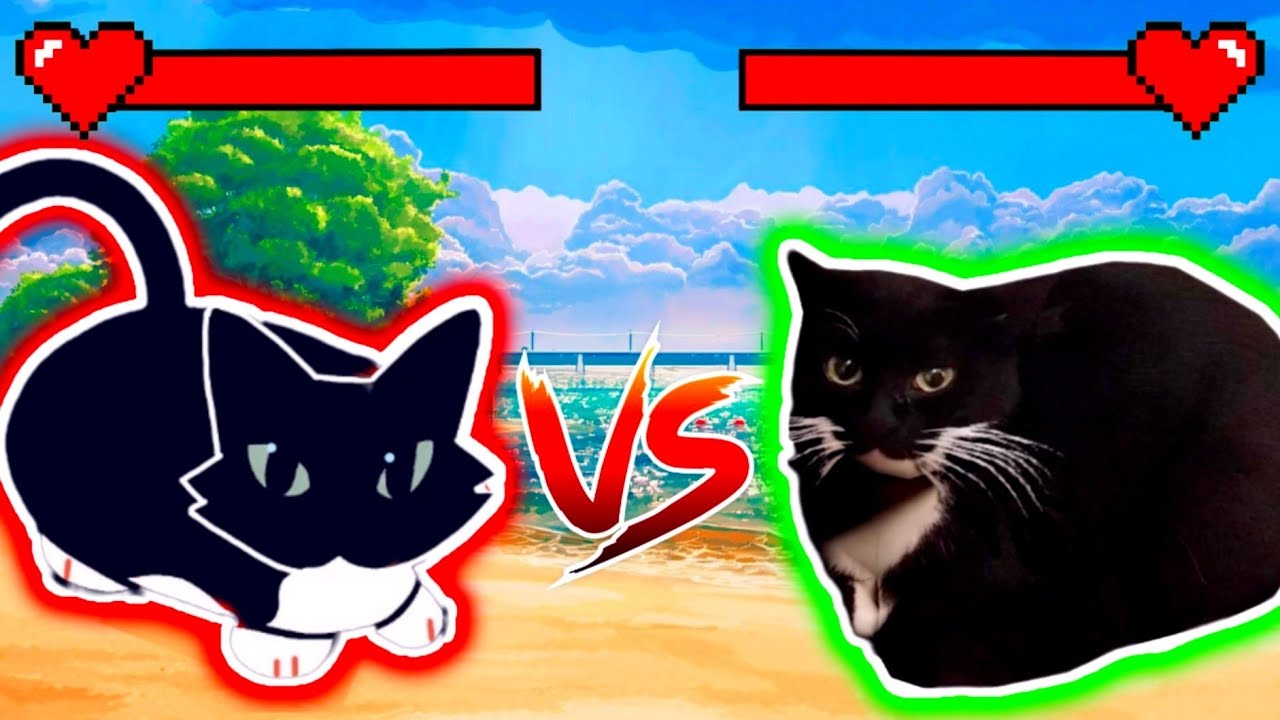 Maxwell Cat vs Maxwell Cat 2D - YouTube
