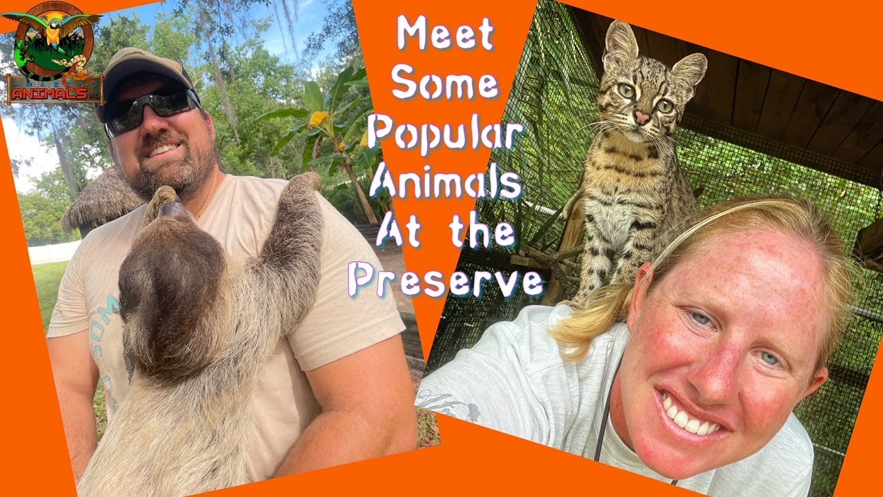 Meet our most ICONIC and popular ANIMAL AMBASSADORS part II - YouTube