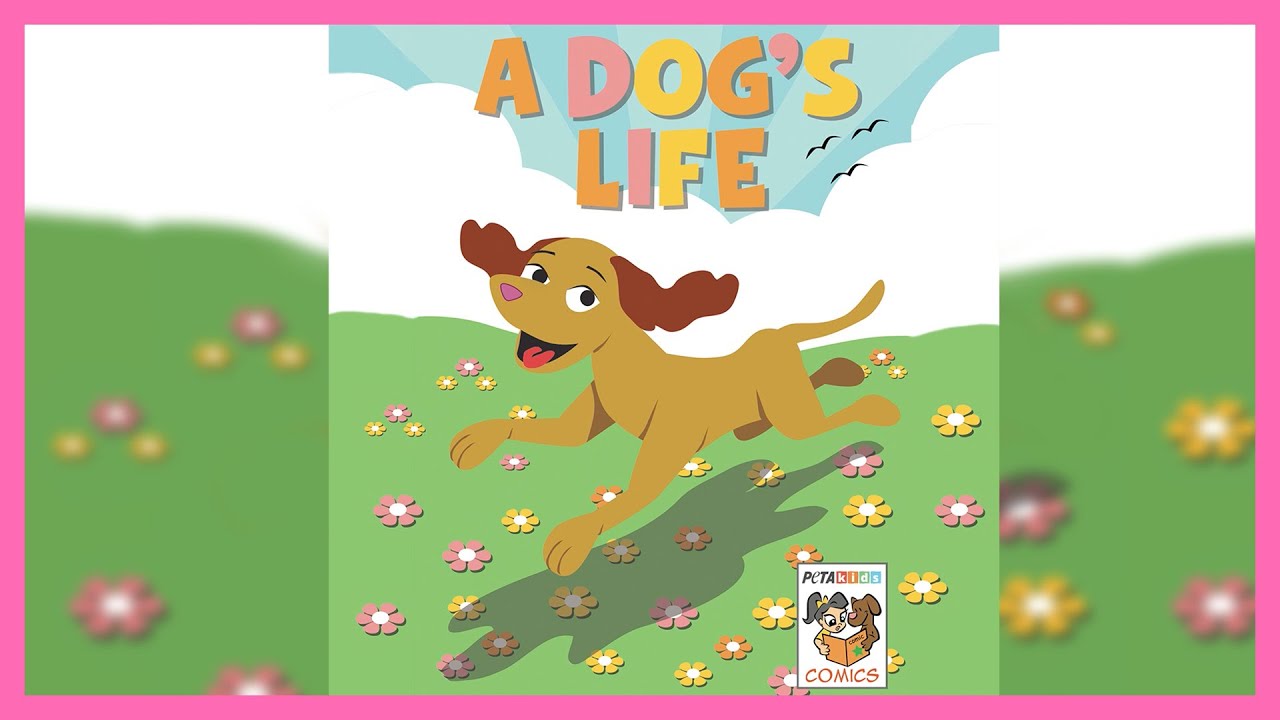 ‘A Dog’s Life’ Read-Aloud - YouTube