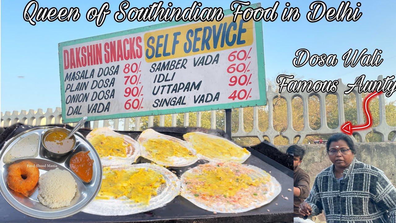 Southindian Food Queen of Delhi | Dakshin Snacks | Rohini Food Vlog ...