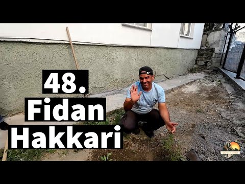 Hakkari Fidanımızı Birlikte Diktik #81il81fidan #436