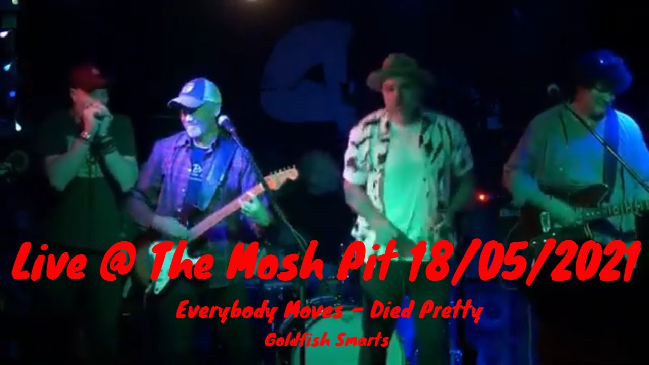 Live @ The Mosh Pit Bar - Cover - Everybody Moves by Died Pretty ...