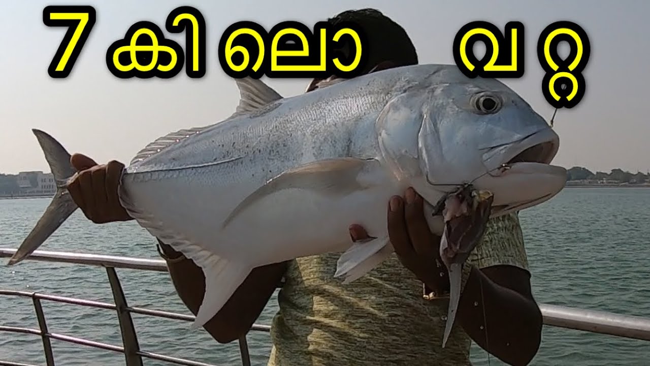 #Friday#Fishing#JED# കിടു വറ്റ - YouTube