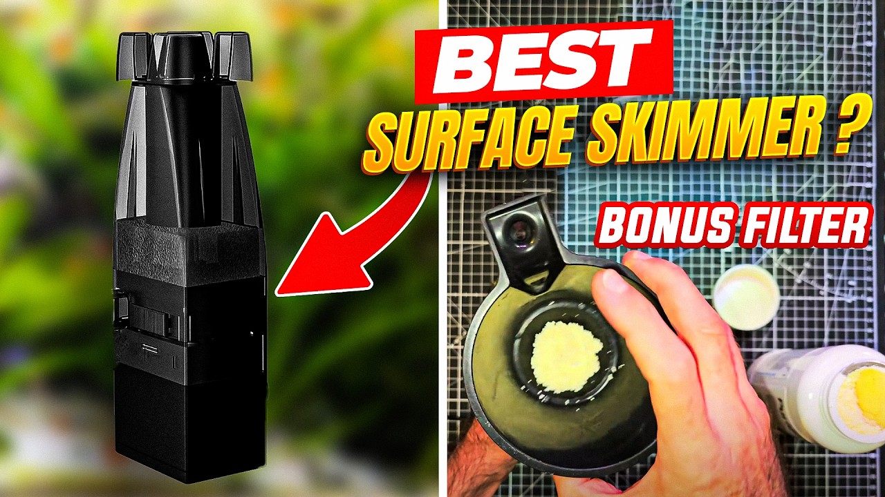 Aquarium Surface Skimmer Review: Aquatop SSK-65 + DIY Fish Tank Filter ...