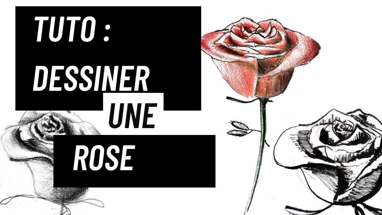 Tuto : Apprendre à dessiner des roses - YouTube