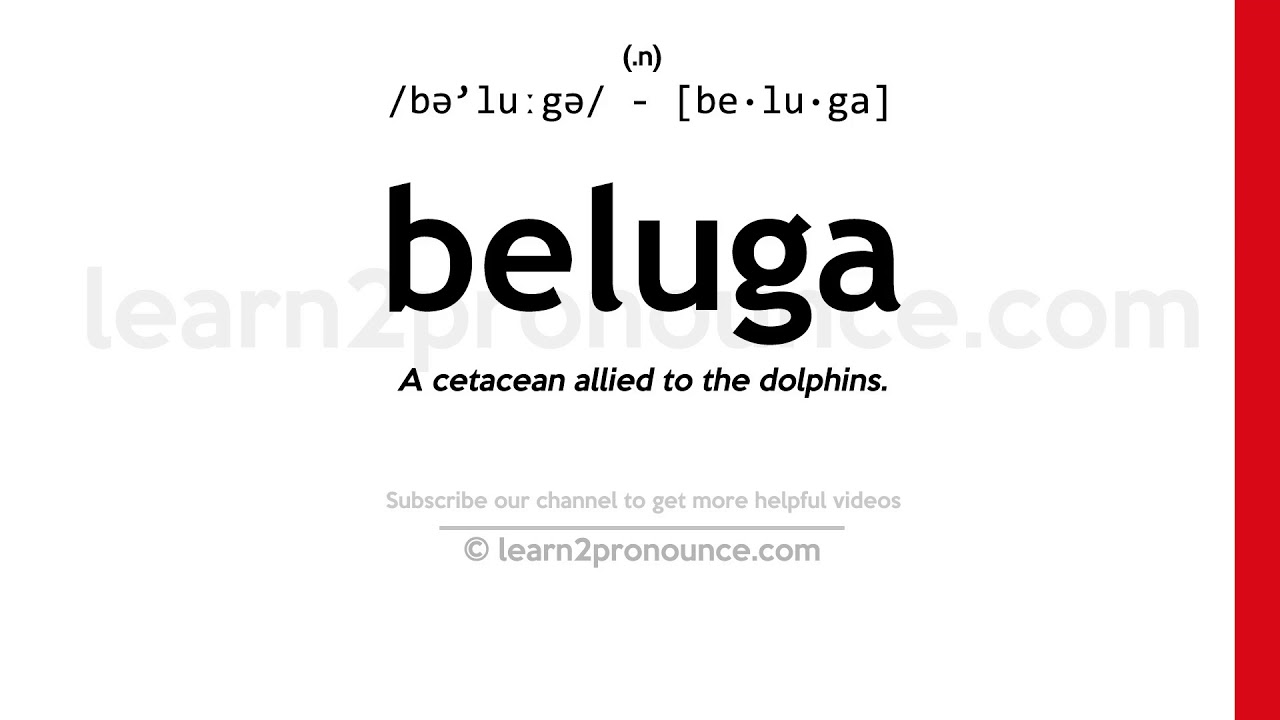Pronunciation of Beluga | Definition of Beluga - YouTube