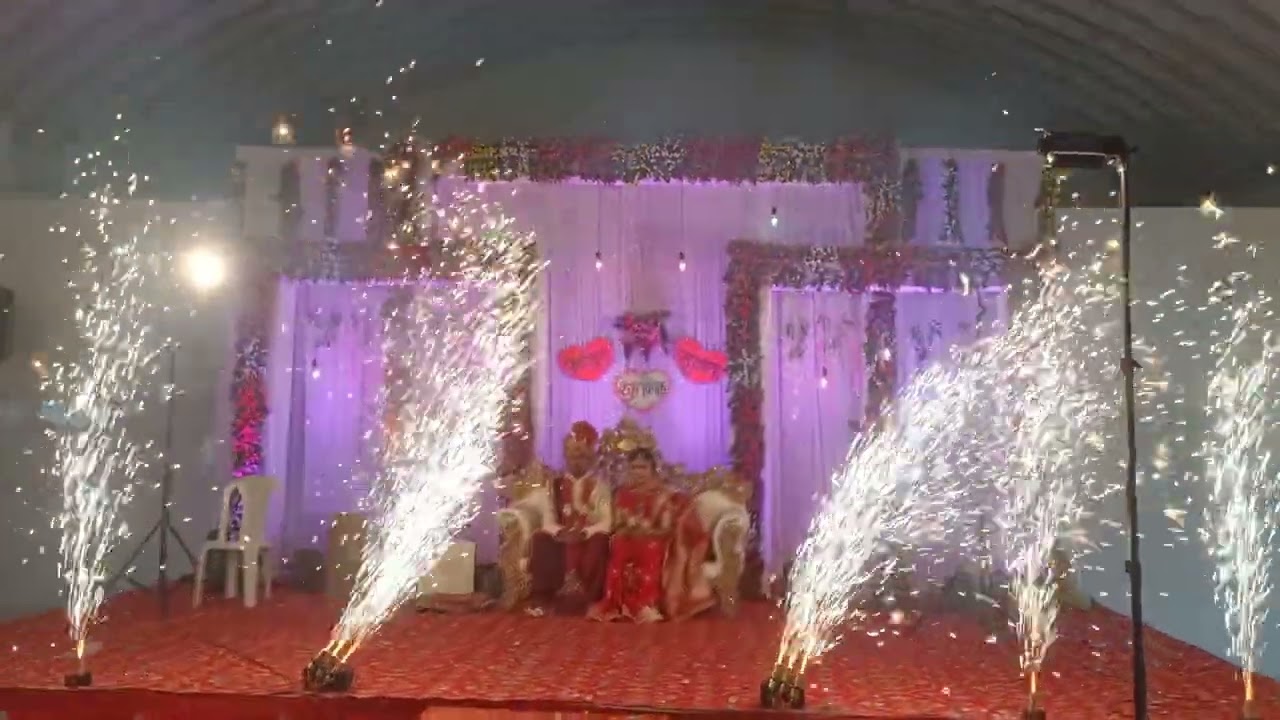 Cold Pairo With Dancing Pairo - YouTube